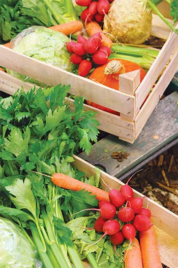 8 Totally Doable Ways To Go Green In Your Kitchen - NaturalHealth ...