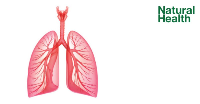 HOW TO KEEP YOUR LUNGS IN GREAT SHAPE - NaturalHealth - Healthy, Beauty ...